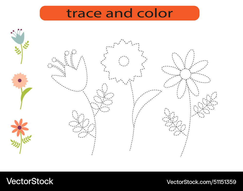 Handwriting practice for kids draw lines Vector Image