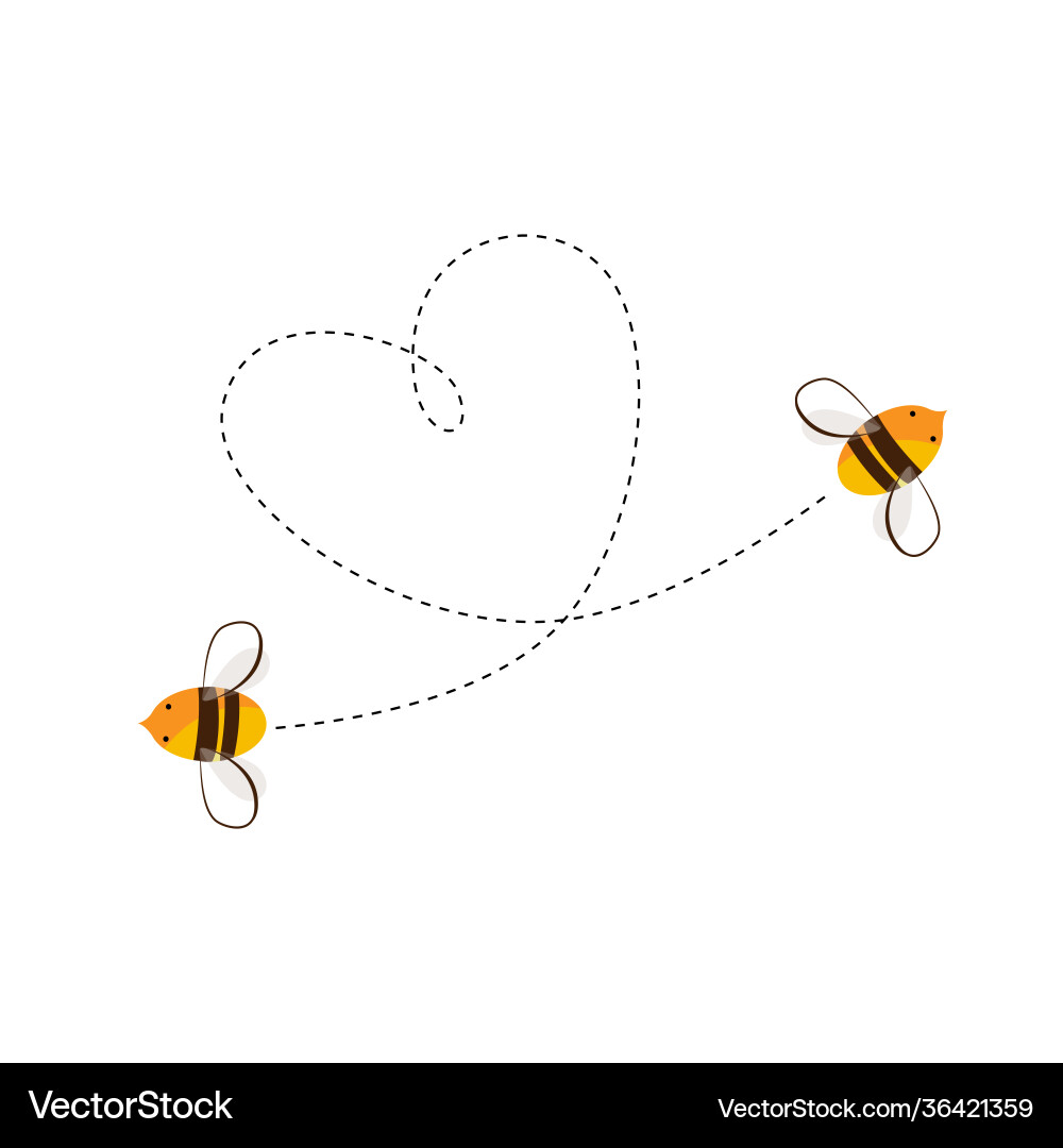 Two flying bee and their heart shape flight Vector Image
