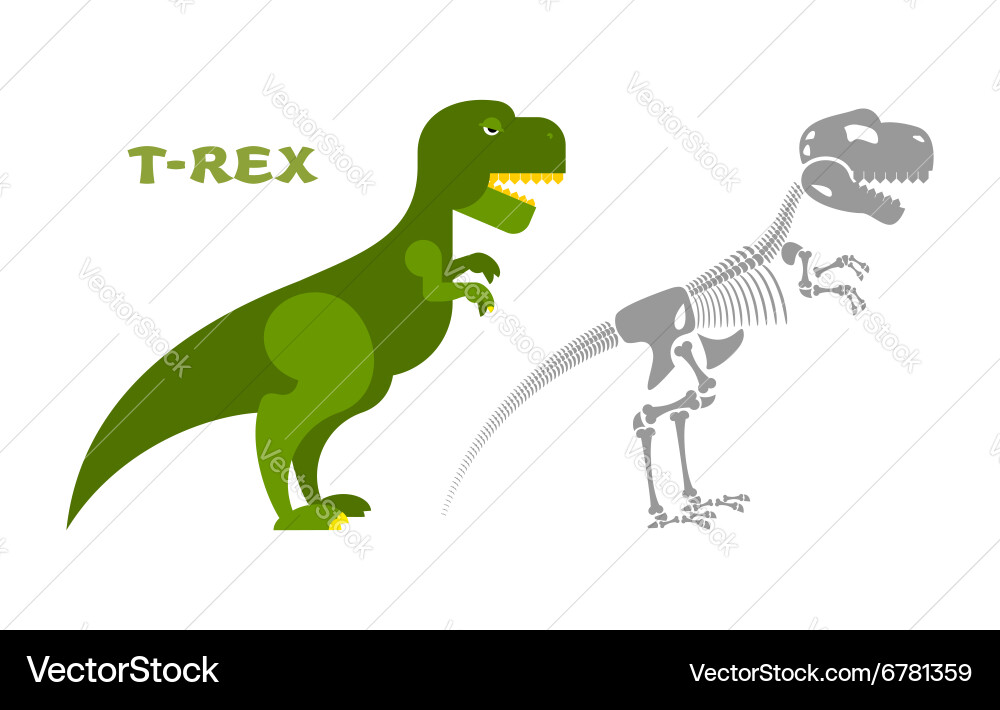 Tyrannosaurus Rex Skeleton Royalty Free Vector Image