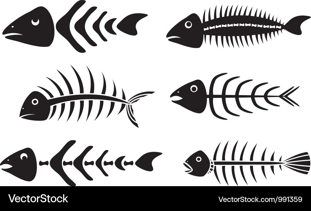 Fish Bone Stencil Vector Images (36)