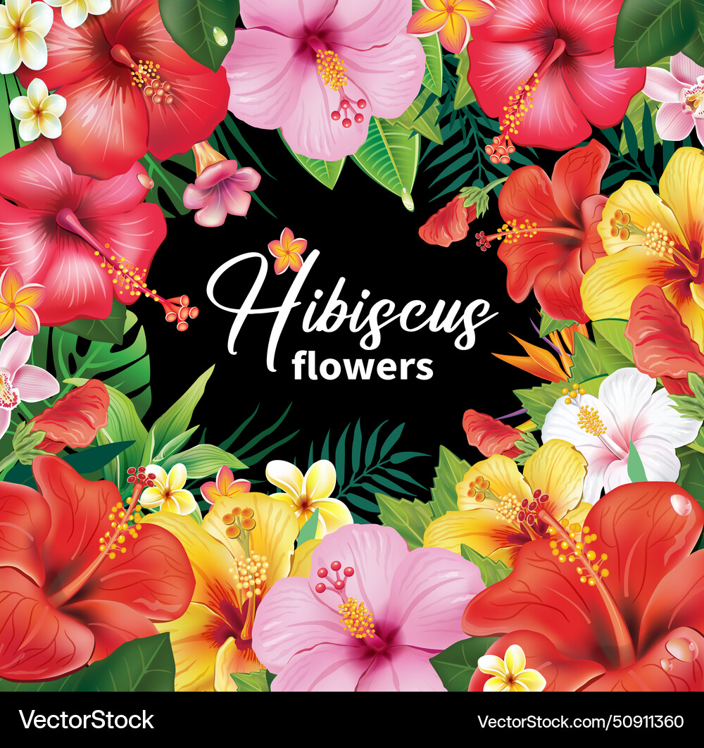 Frame from hibiscus flowers Royalty Free Vector Image
