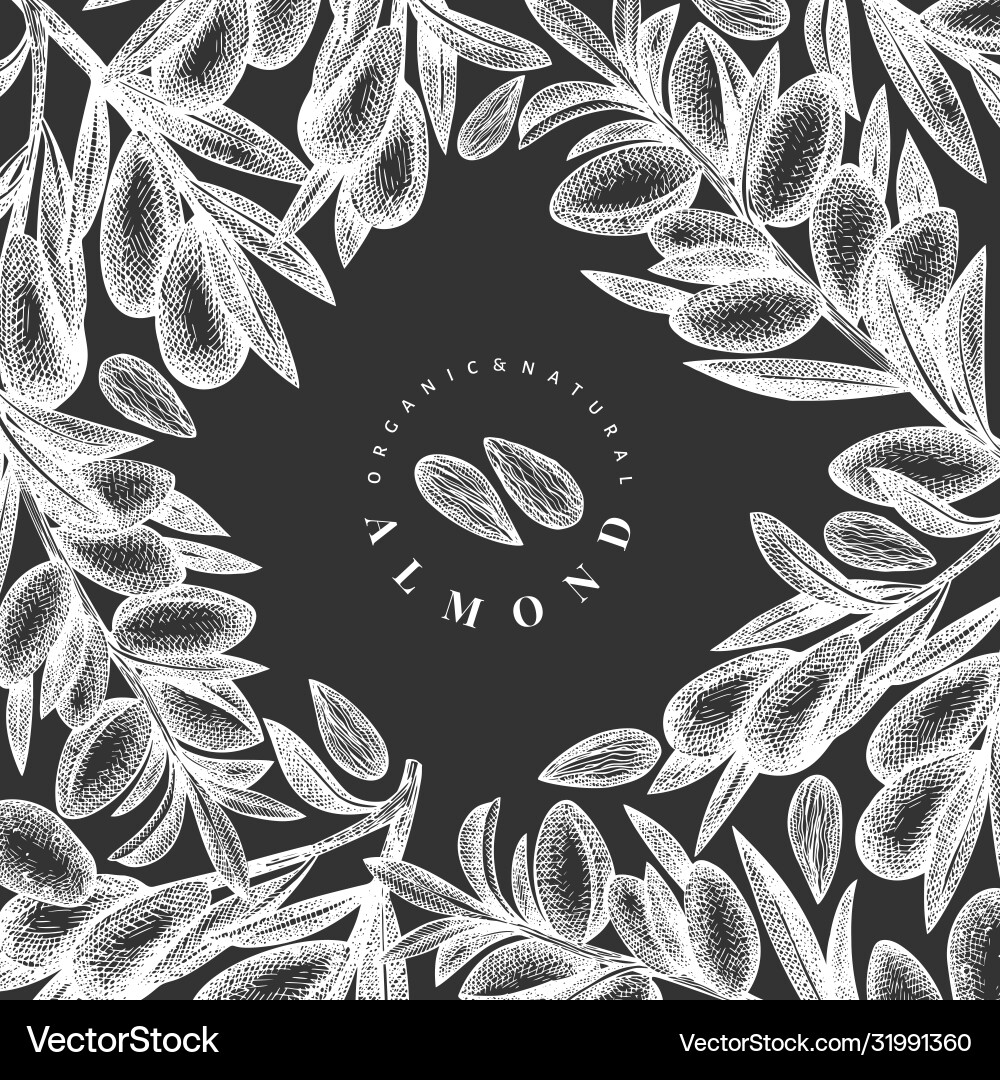 Hand drawn sketch almond design template organic Vector Image