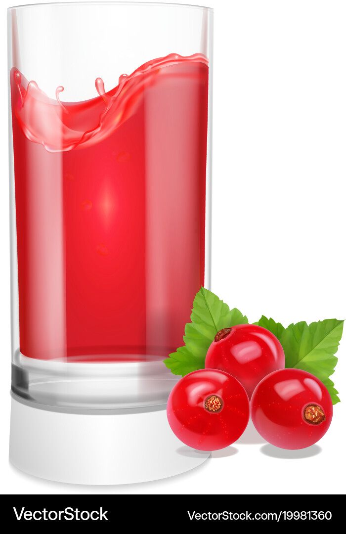 Juice with red currants in a glass realistic Vector Image