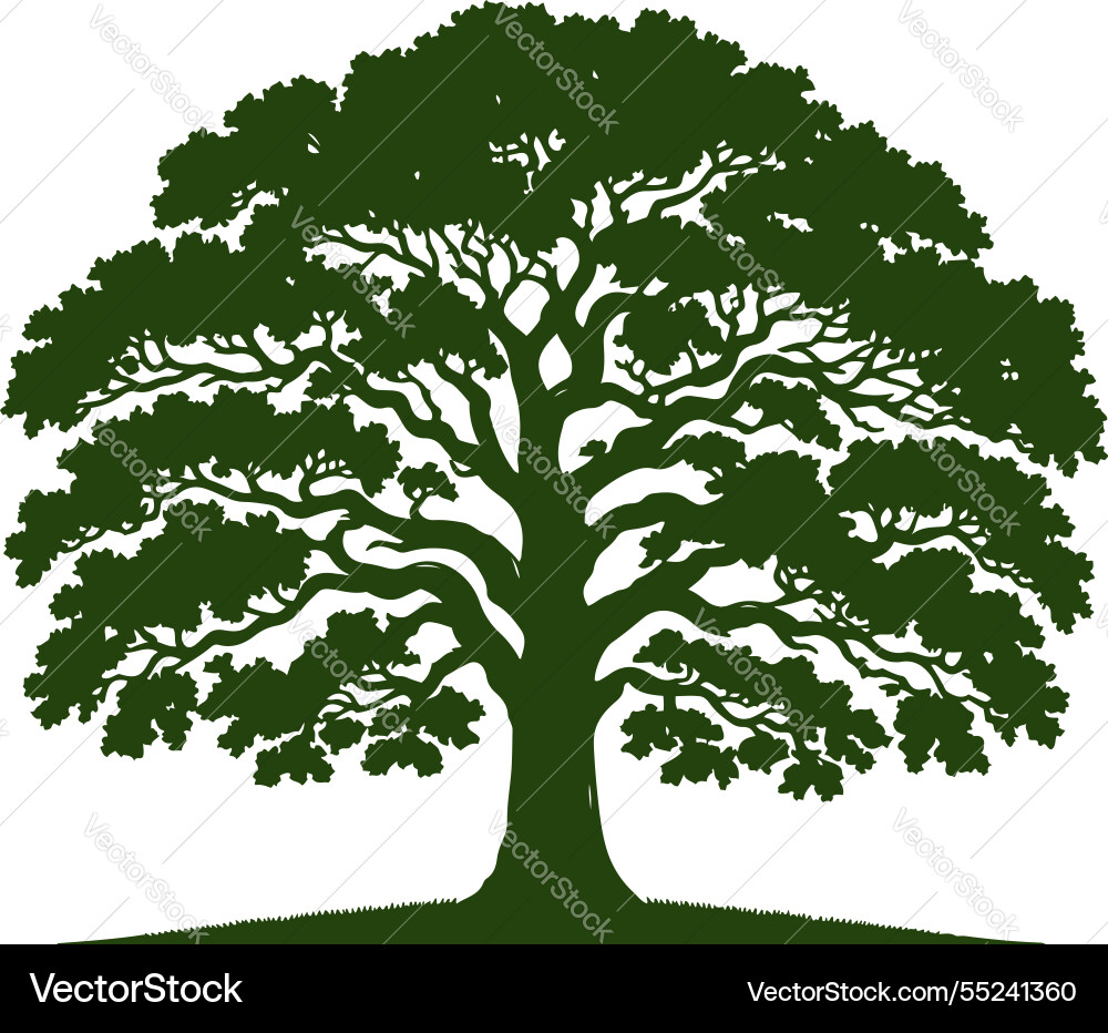 Oak tree silhouette Royalty Free Vector Image - VectorStock