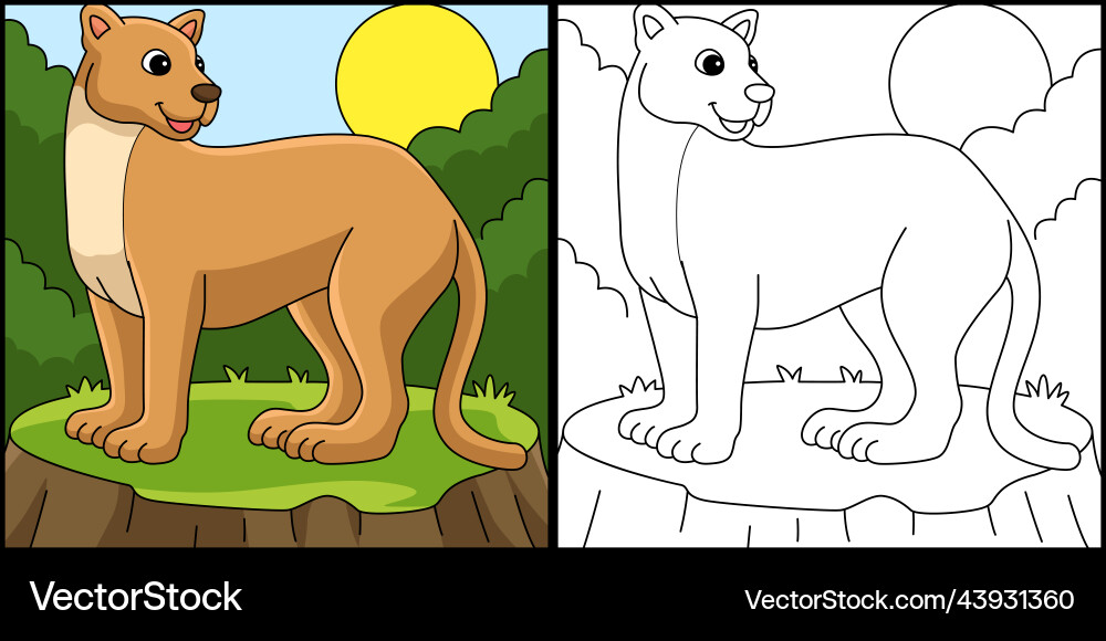 Puma animal coloring page colored Royalty Free Vector Image