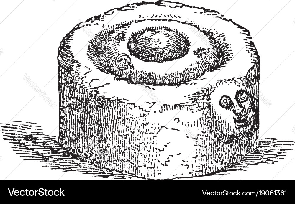 Quere Jahrgang Lizenzfreies Vektorbild - VectorStock