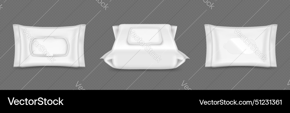 Wet wipe package with plastic flap mockup Vector Image