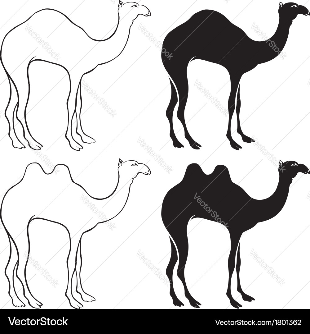 Camel Royalty Free Vector Image - VectorStock