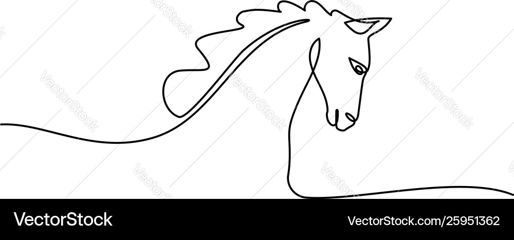 Elegant Horse Head Line Art Royalty Free Vector Image