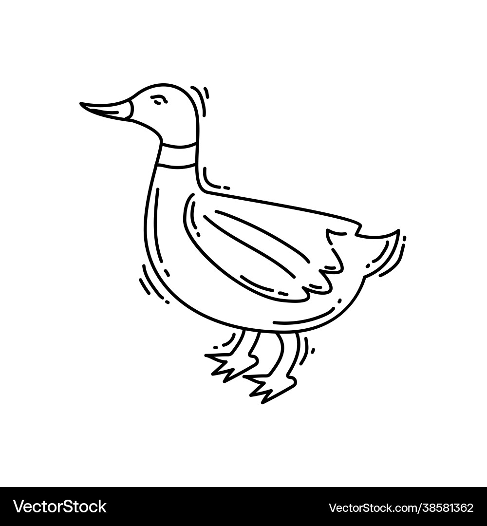 Farming Ente Icon Hand gezogen Set Umriss Vektorbild