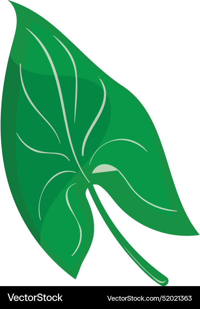 Colored sketch of a leaf Royalty Free Vector Image
