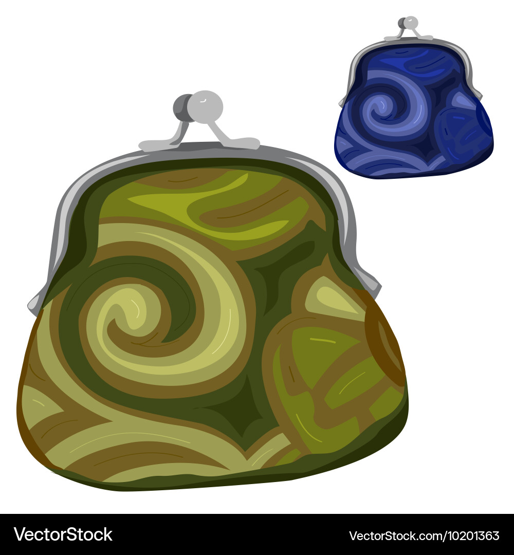 Green and blue womens wallet for coins Royalty Free Vector