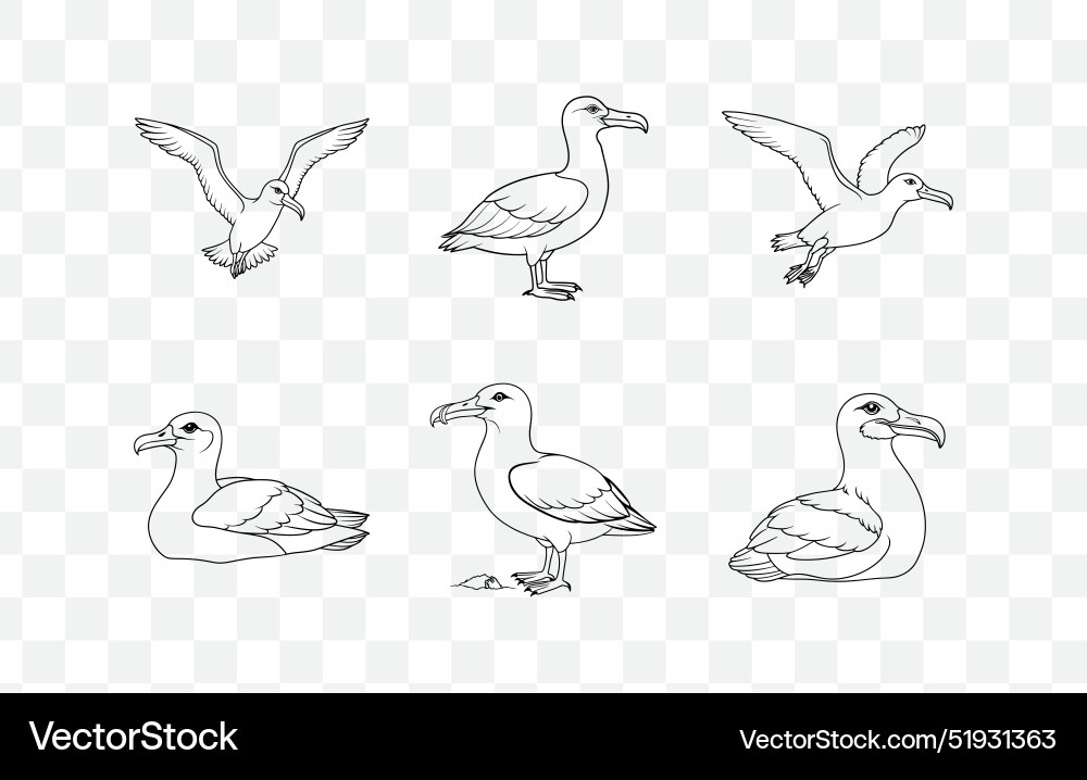 Print ultimate albatross line art set Royalty Free Vector