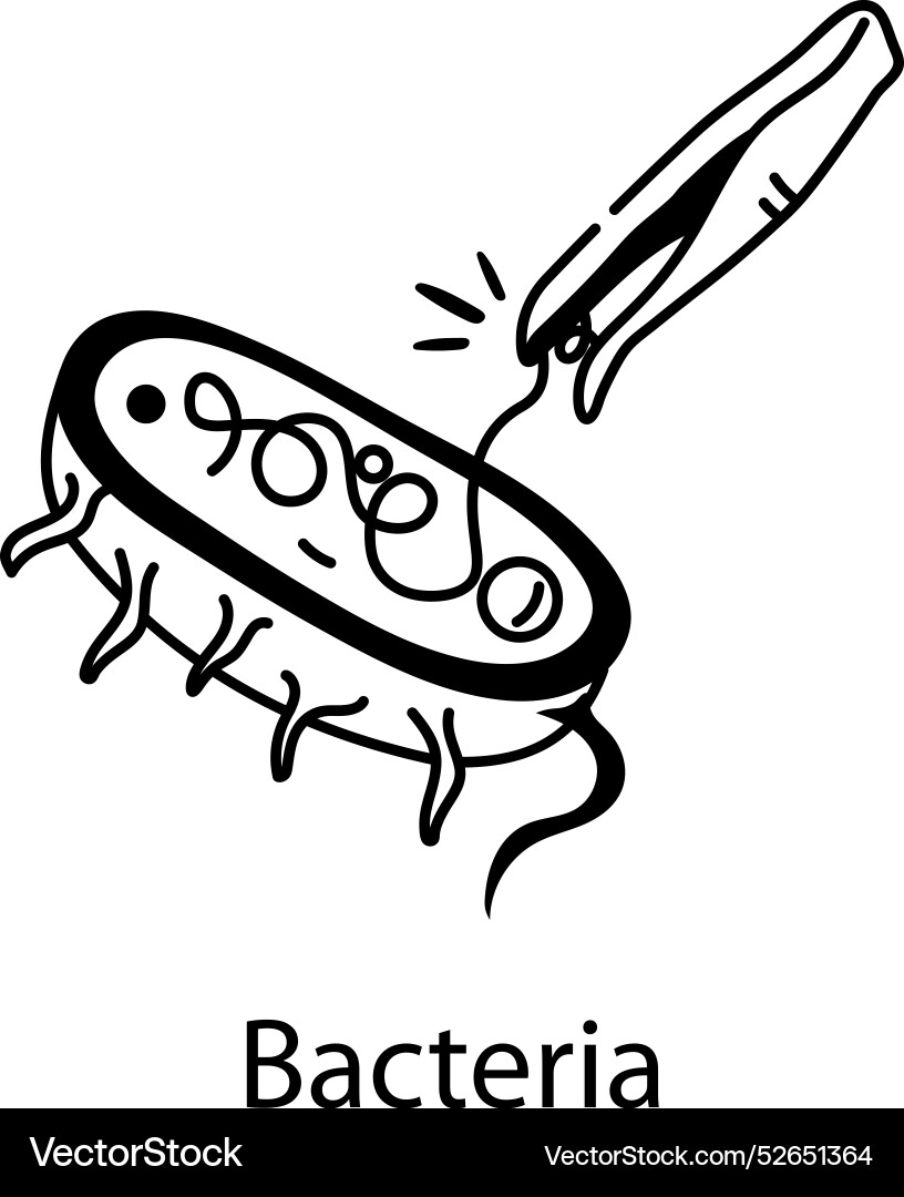 Bacteria Royalty Free Vector Image - VectorStock