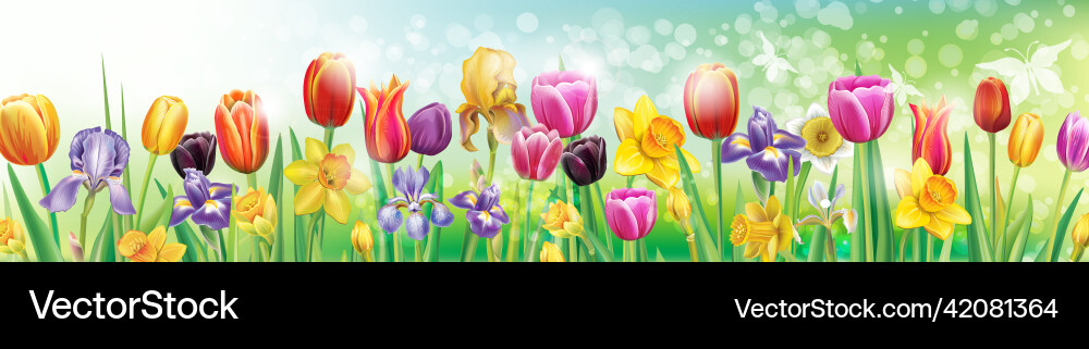 Border from arrangement with multicolor spring Vector Image