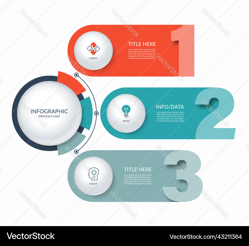 Infographic template with 3 steps options parts Vector Image