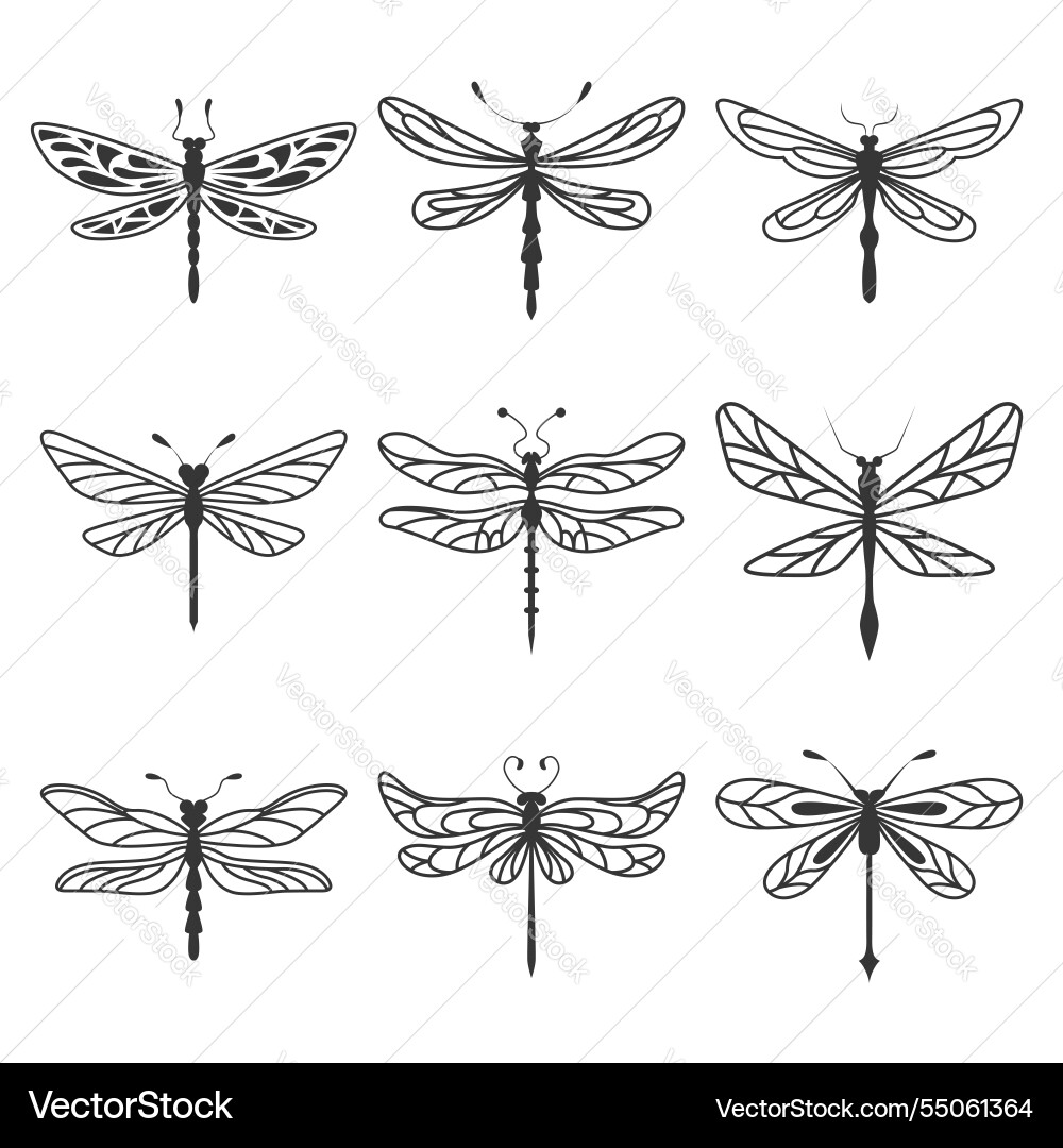 Dragonfly Line Drawing Dragonfly Line Art Vector Art, Icons, And