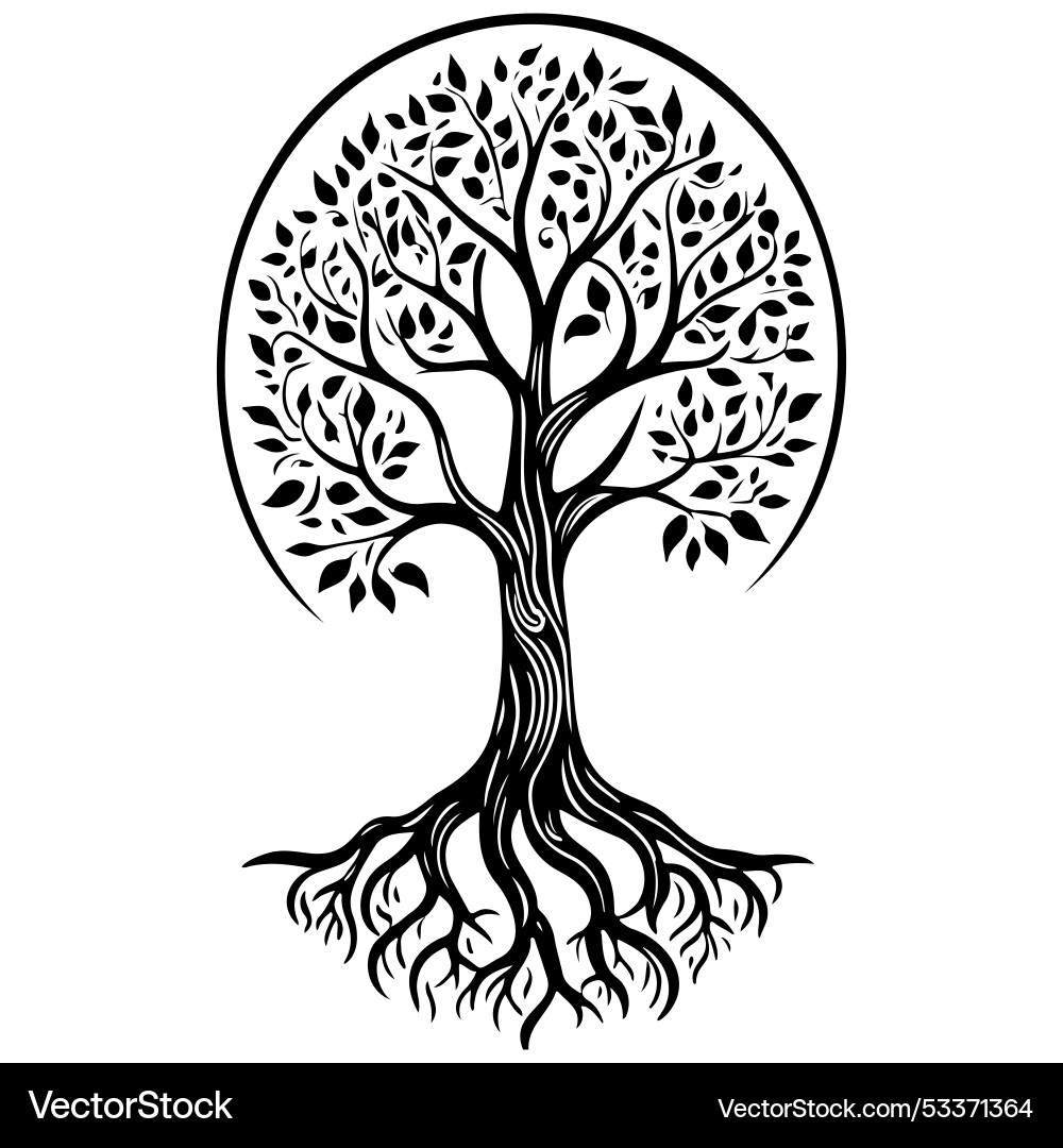Tree of life hand drawn line transpiderarent Vector Image