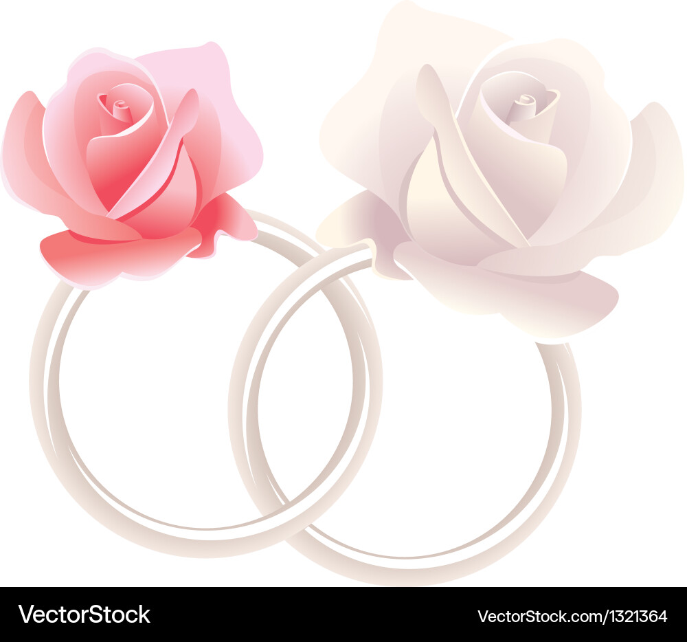 Wedding rings and roses Royalty Free Vector Image