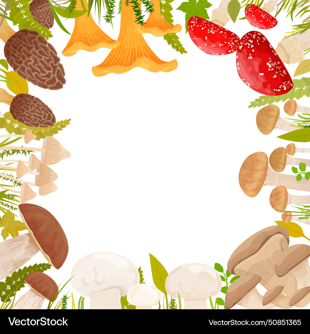 Flat mushrooms frame composition Royalty Free Vector Image