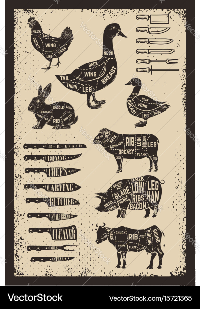 Meat Cutting Guide - Butchery Diagram Royalty Free Vector