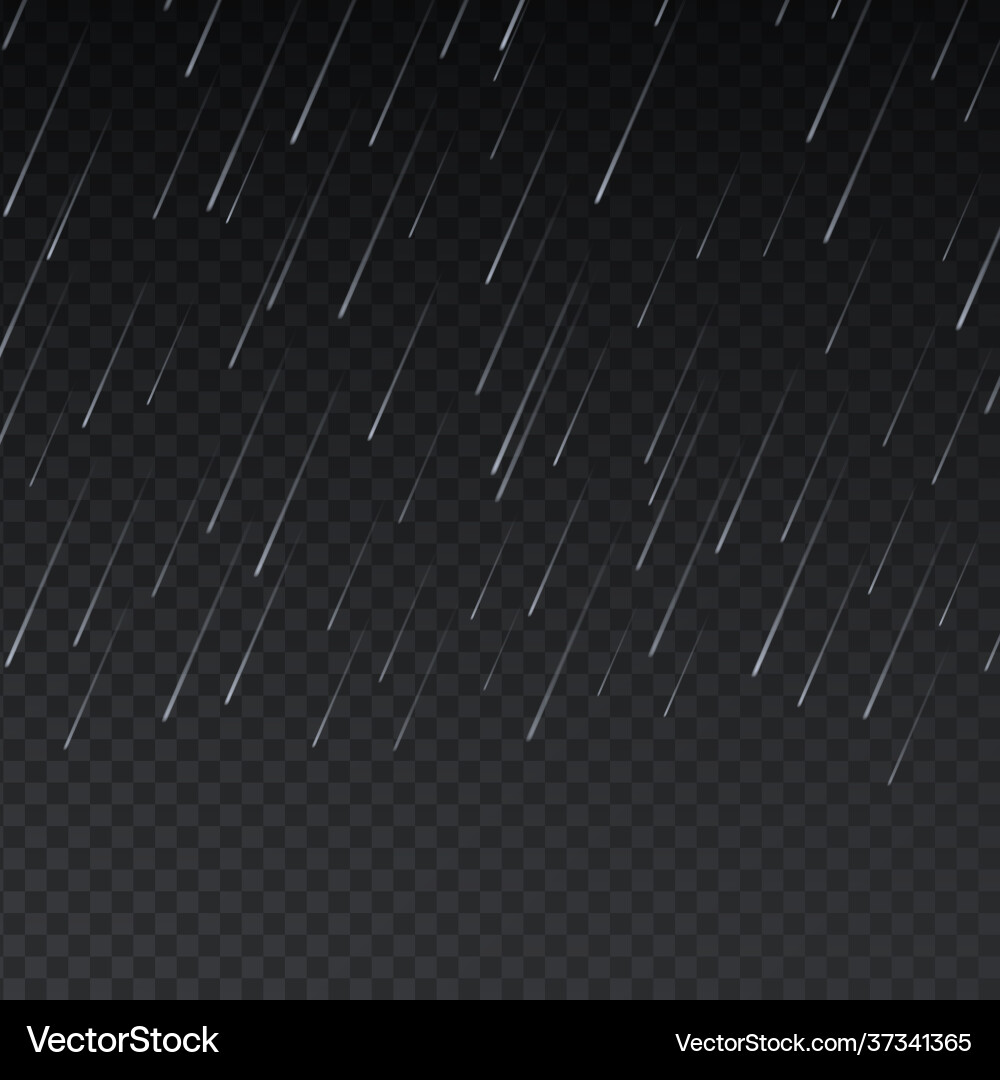 Realistic rain rainy texture on transparent Vector Image