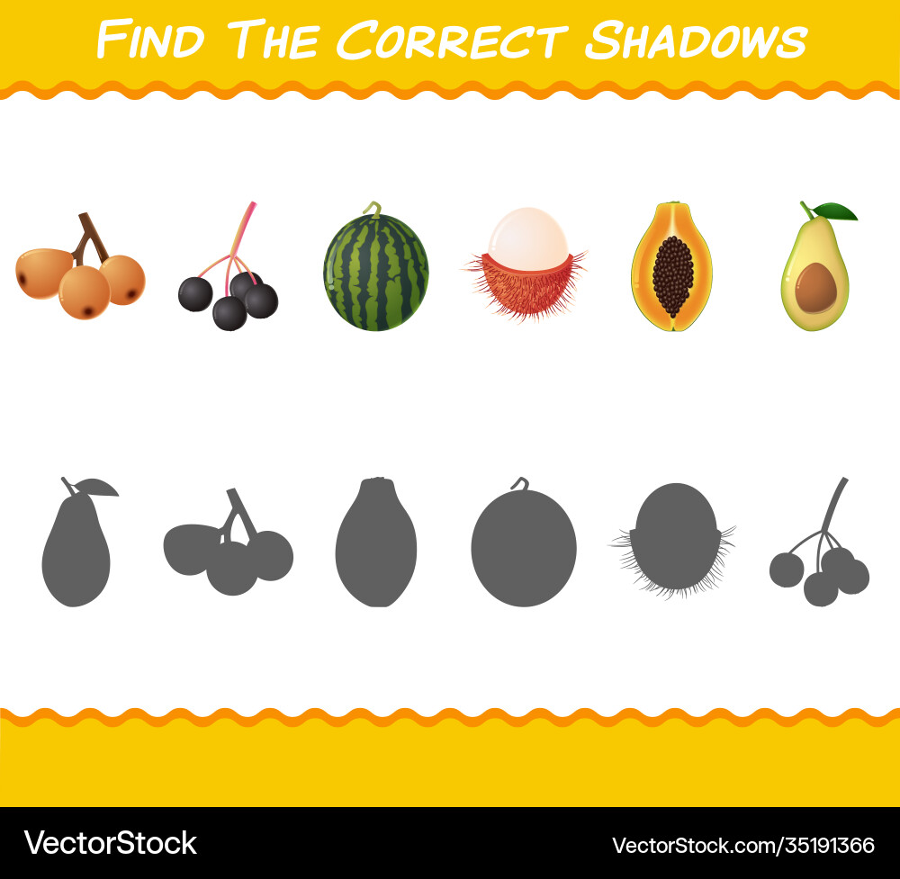 Find correct shadows cartoon fruits Royalty Free Vector