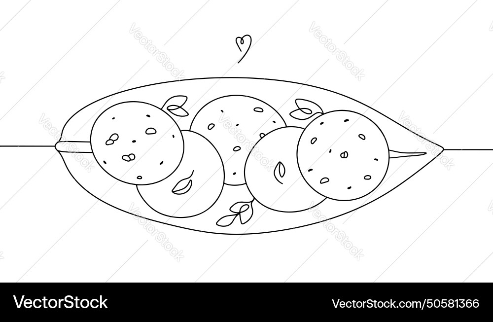 Idli bamboo leaf food meal Royalty Free Vector Image