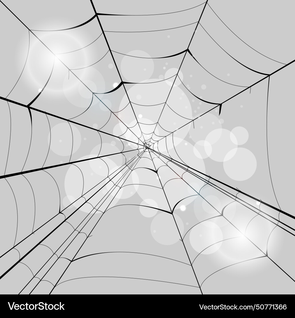 Spider background Royalty Free Vector Image - VectorStock