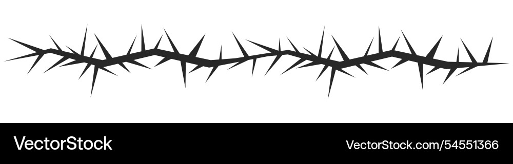 Thorn stem vine plant with spikes simple border Vector Image