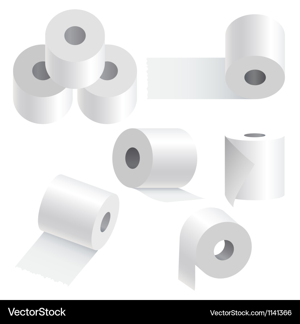 Toilet paper set Royalty Free Vector Image - VectorStock