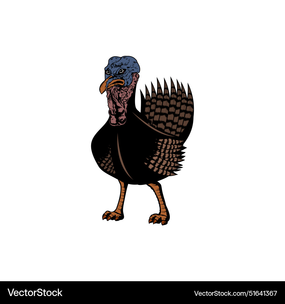 Turkey cartoon character design Royalty Free Vector Image
