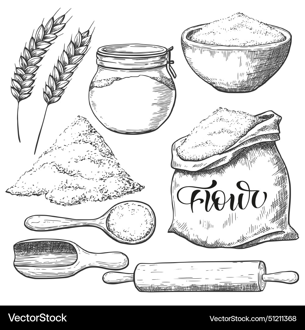 Flour sketch set vintage food Royalty Free Vector Image