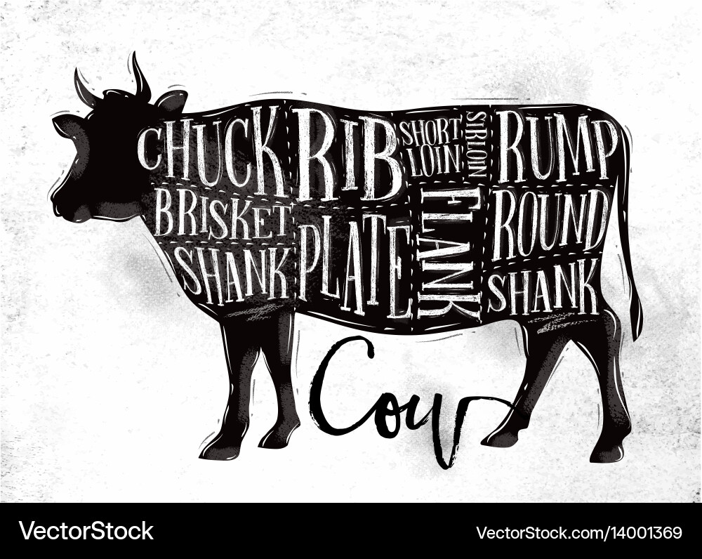 Beef Cutting Scheme Poster Royalty Free Vector Image