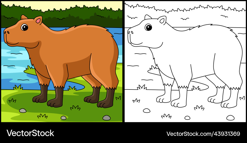 Capybara animal coloring page Royalty Free Vector Image