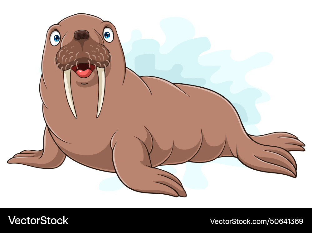 Cartoon walrus isolated on white background Vector Image