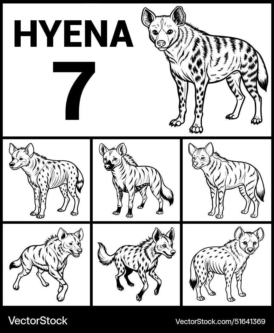 Hyena outline set detailed Royalty Free Vector Image