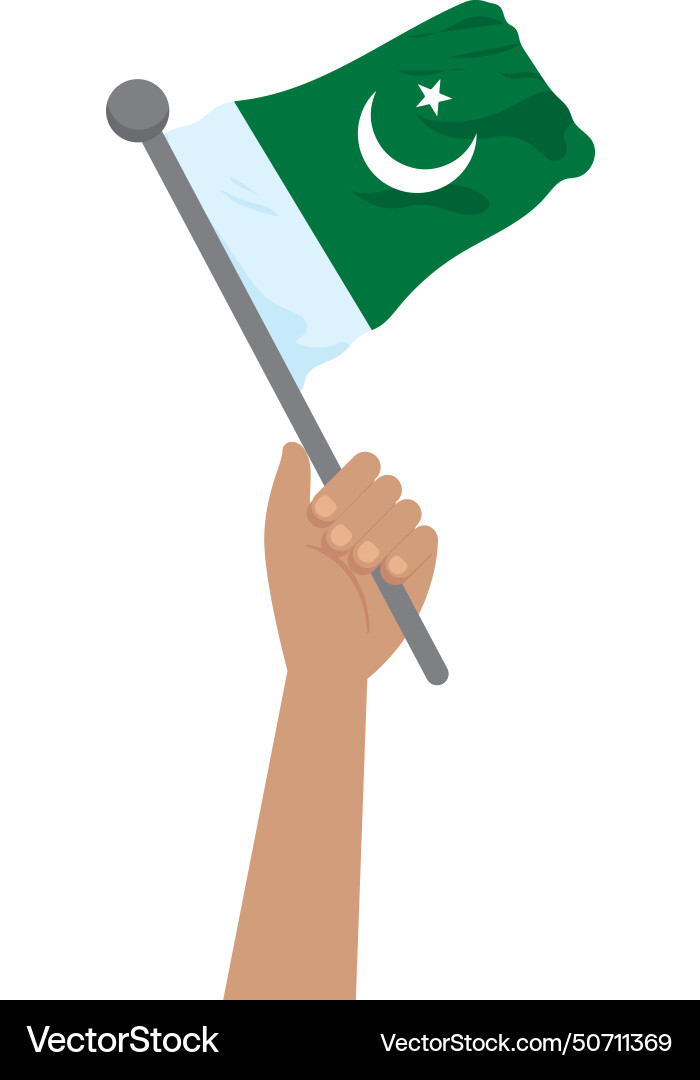 Pakistan day celebration Royalty Free Vector Image