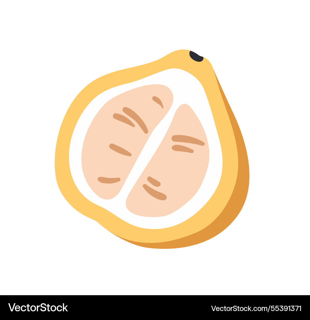 Pomelo piece fresh tropical fruit exotic citrus Vector Image