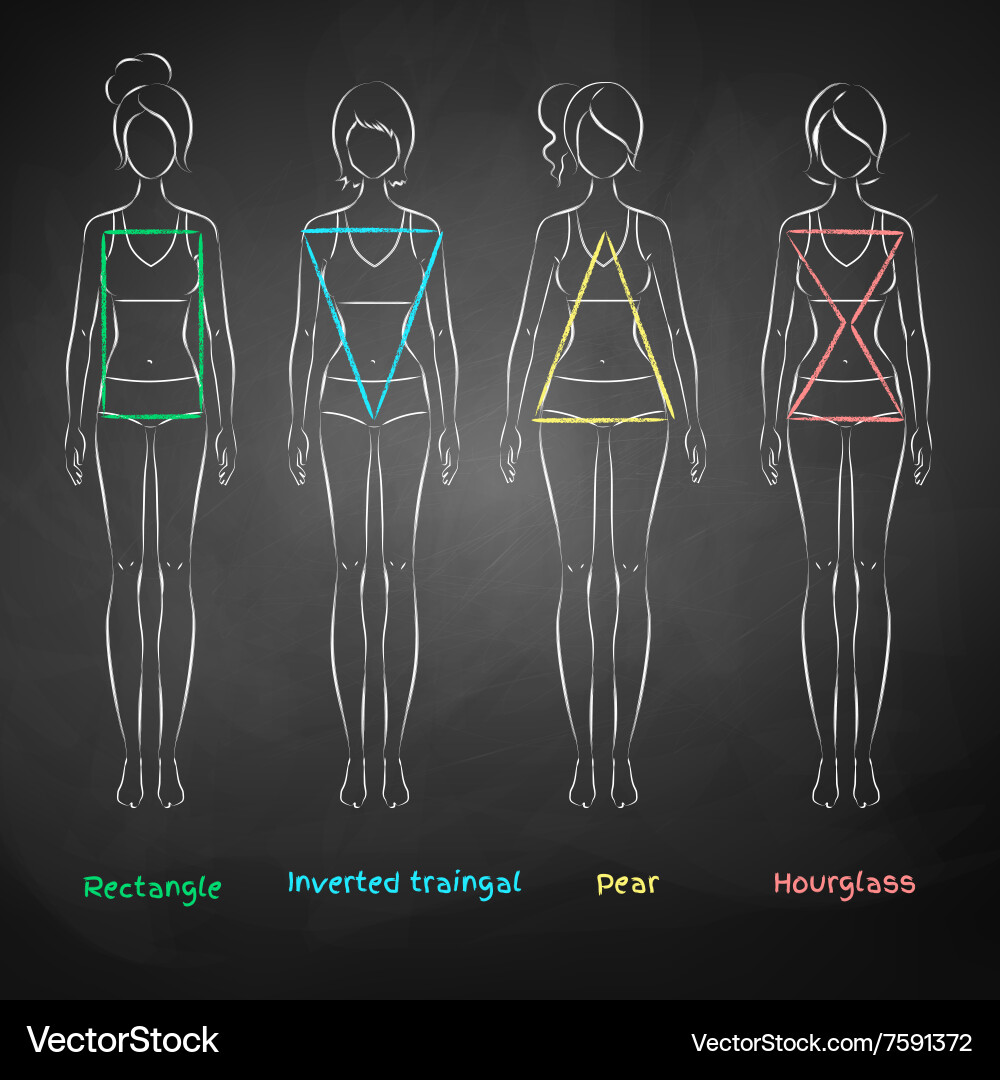 Chalked female body types Royalty Free Vector Image