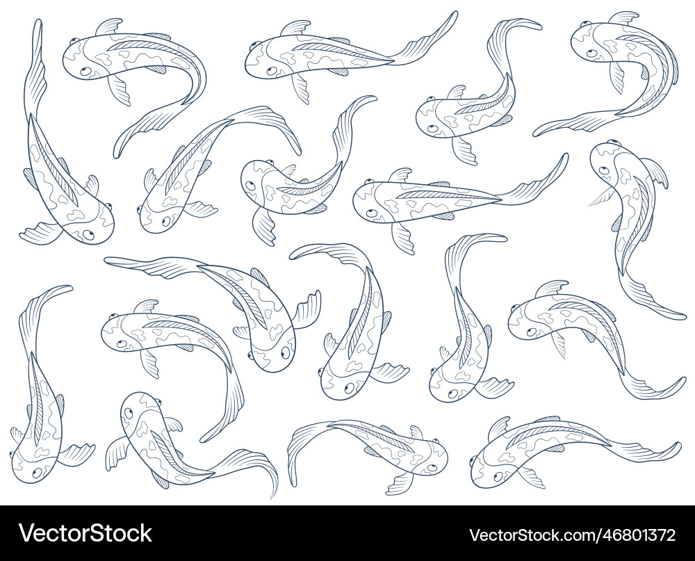 Fish design isolated on white background Vector Image