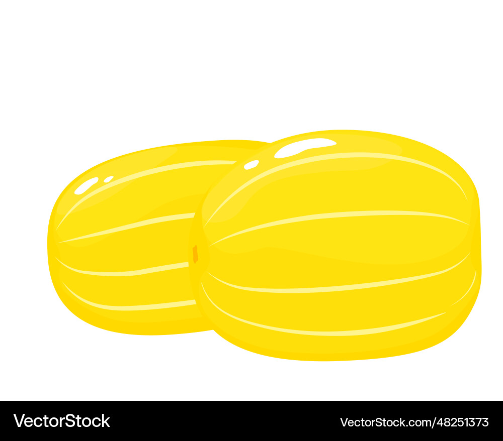 Melon Royalty Free Vector Image - VectorStock