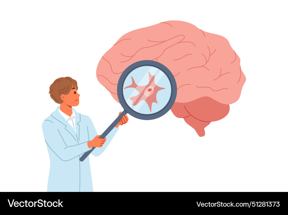 Neurosurgeon doctor examines patient large brain Vector Image