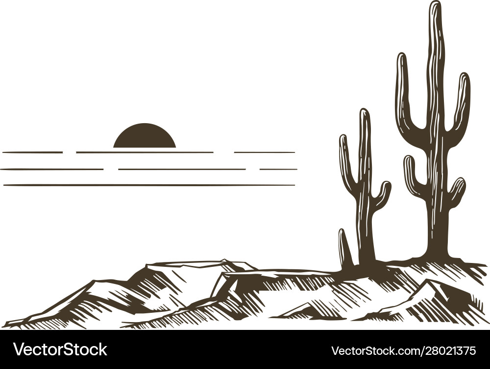 Cacti in arizona Royalty Free Vector Image - VectorStock