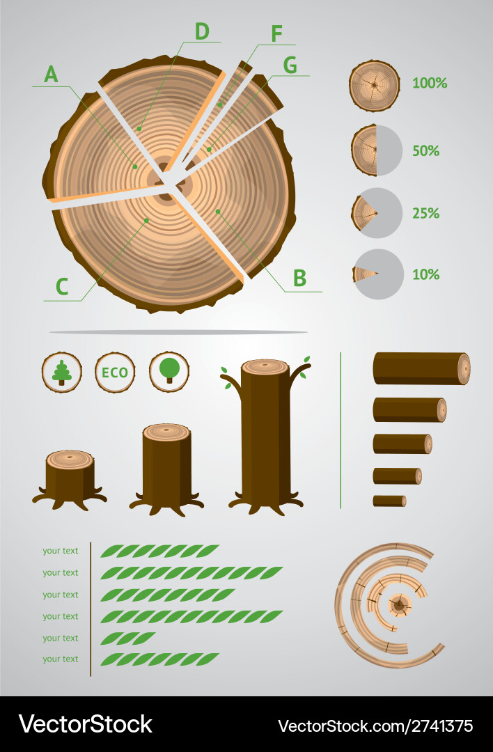 Log infographic Royalty Free Vector Image - VectorStock