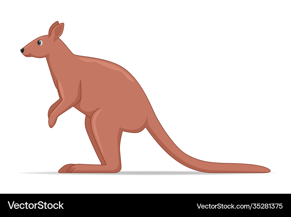 Wallaby animal standing on a white background Vector Image