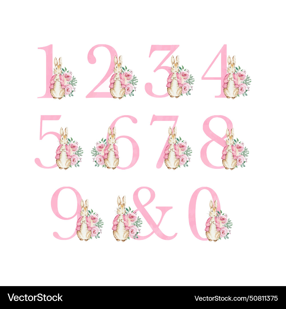 Watercolor pink numbers set with peter rabbit Vector Image