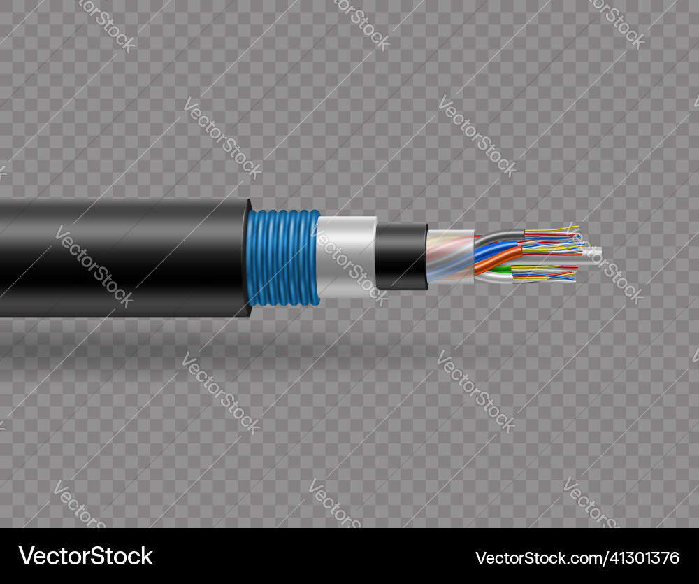 Fiber optic tight cable on transparent background Vector Image