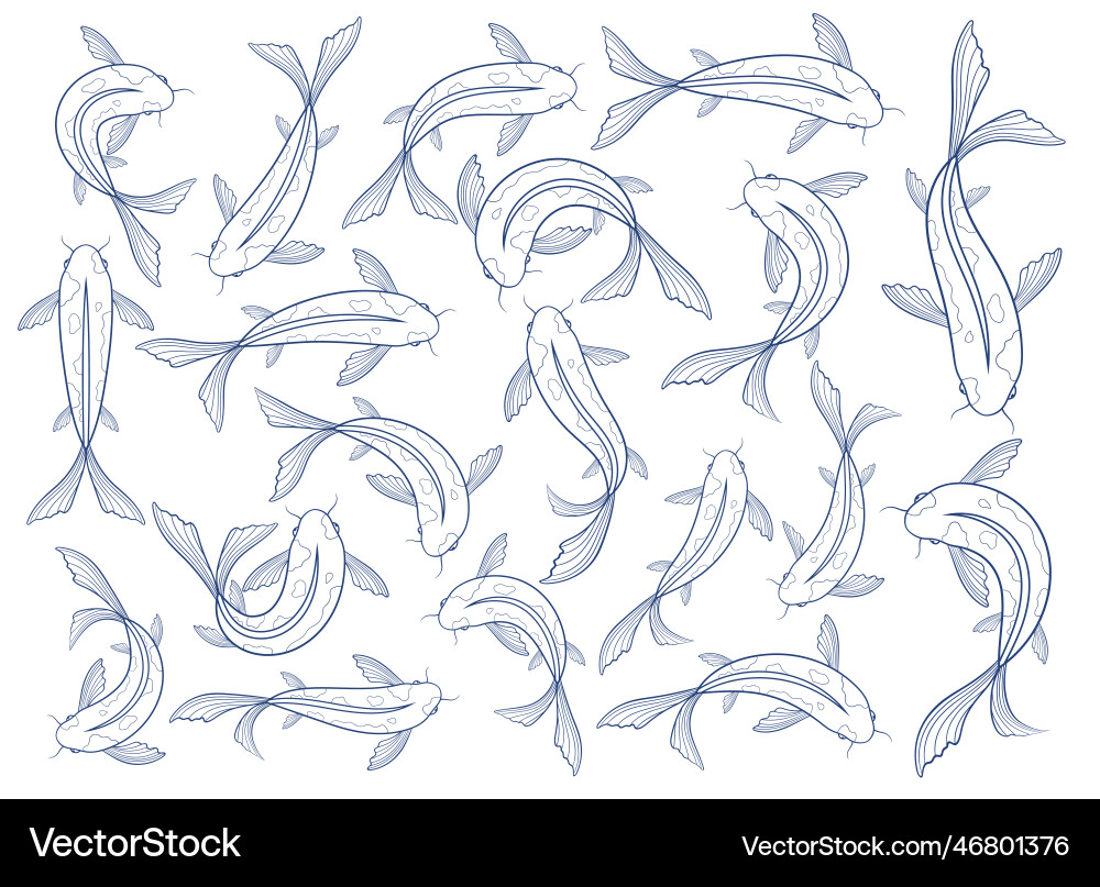 Fish design isolated on white background Vector Image