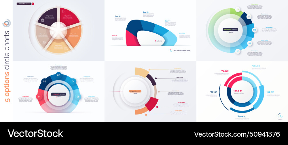 Five option circle infographic design templates Vector Image